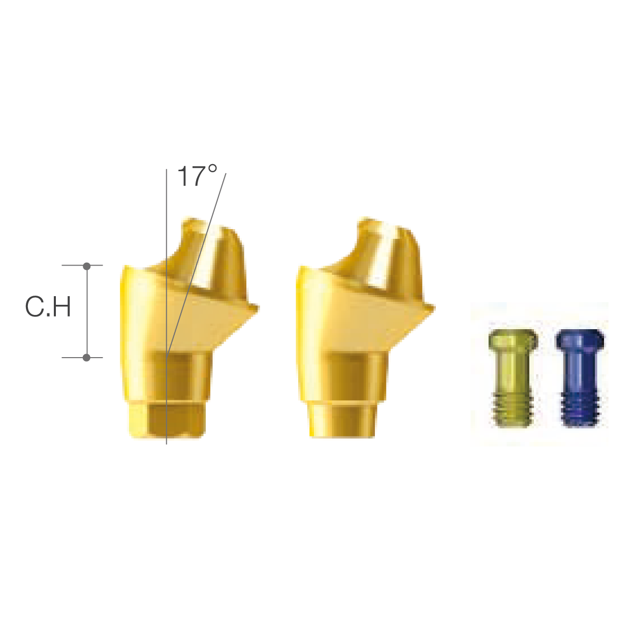 MEGAGEN / Multi-unit Angled Abutment [AR] C.H=4.5/ A=17/ Hex